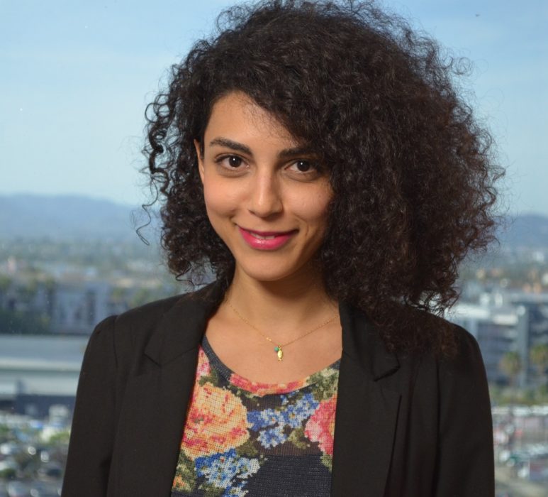 Simin Kargar - DFRLab