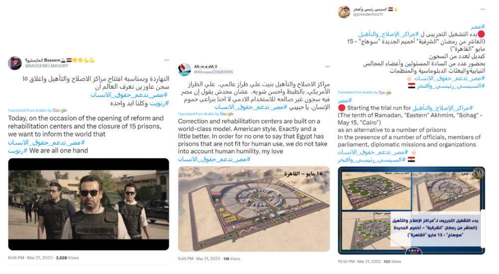 Pro-government Twitter accounts push hashtag promoting Egypt’s support ...